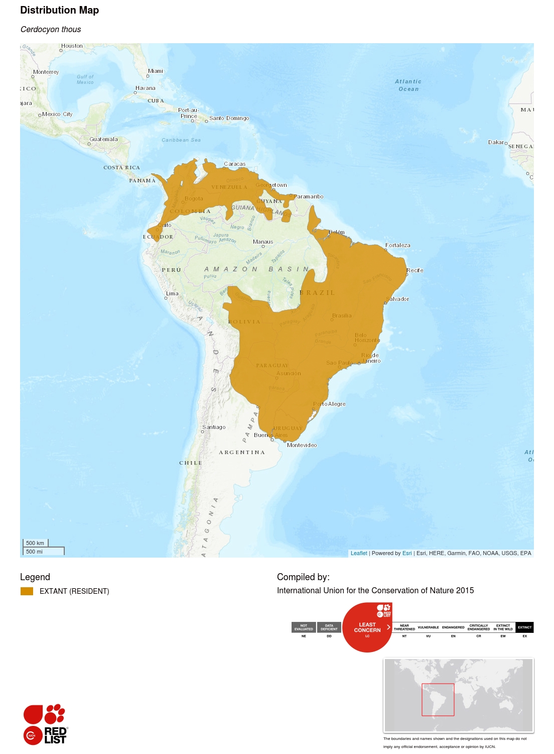 Crab-eating fox | Canids